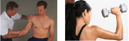 ΤΕΝΟΝΤΙΤΙΔΑ ΩΜΟΥ - Κέντρο Φυσικοθεραπείας | Ανδρέας Δαφνής | Μαρούσι